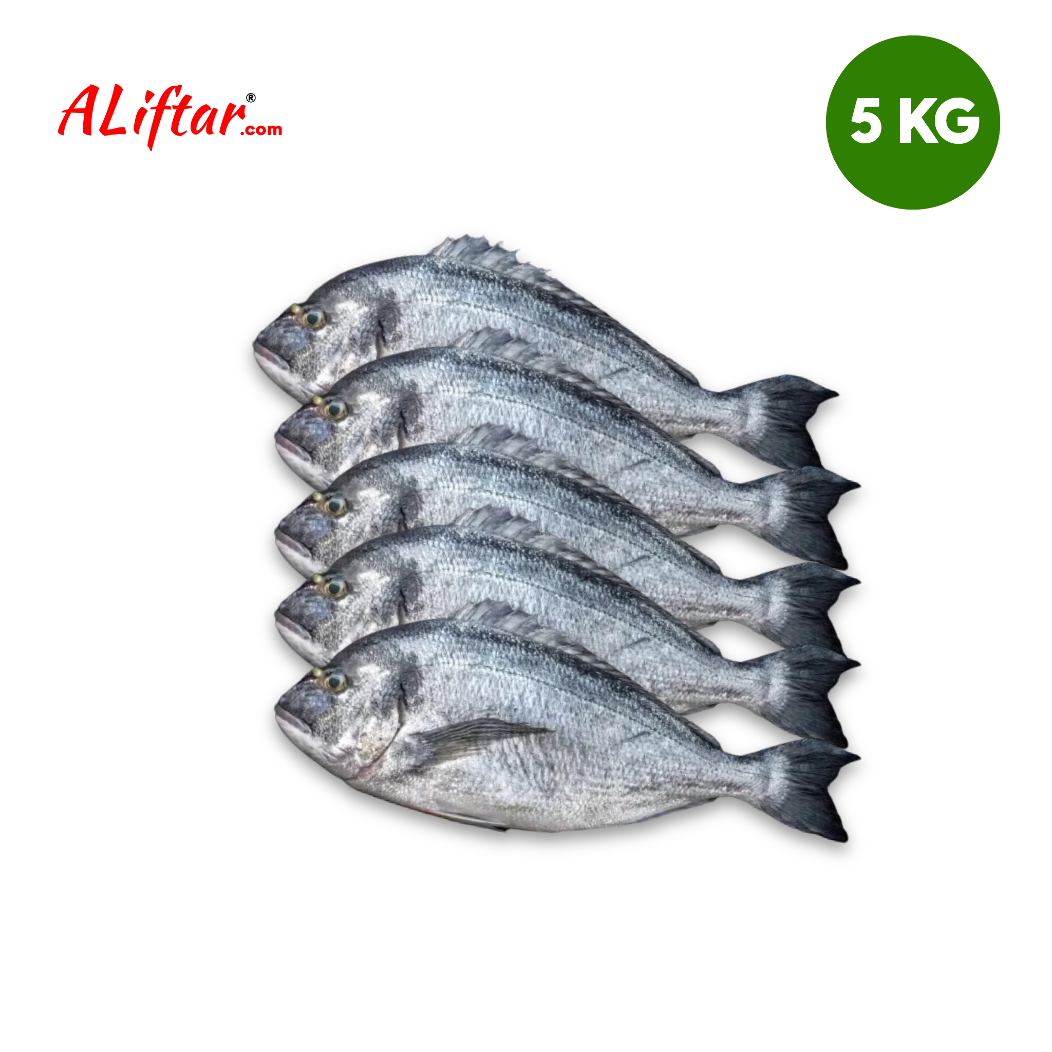Fresh Black Seabream Fish | Whole | 5kg – ALiFTAR.com