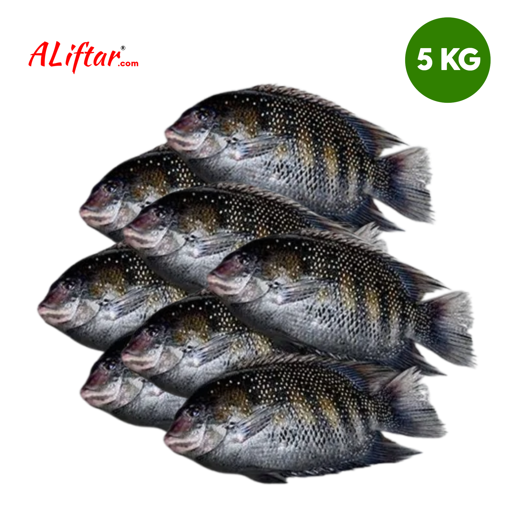 Fresh Karimeen Fish (Pearl Spot) | 5kg – ALiFTAR.com