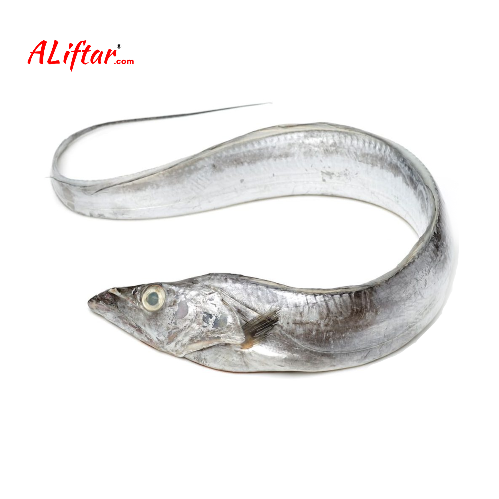fresh Belt Ribbon Fish | whole | 1kg – ALiFTAR.com