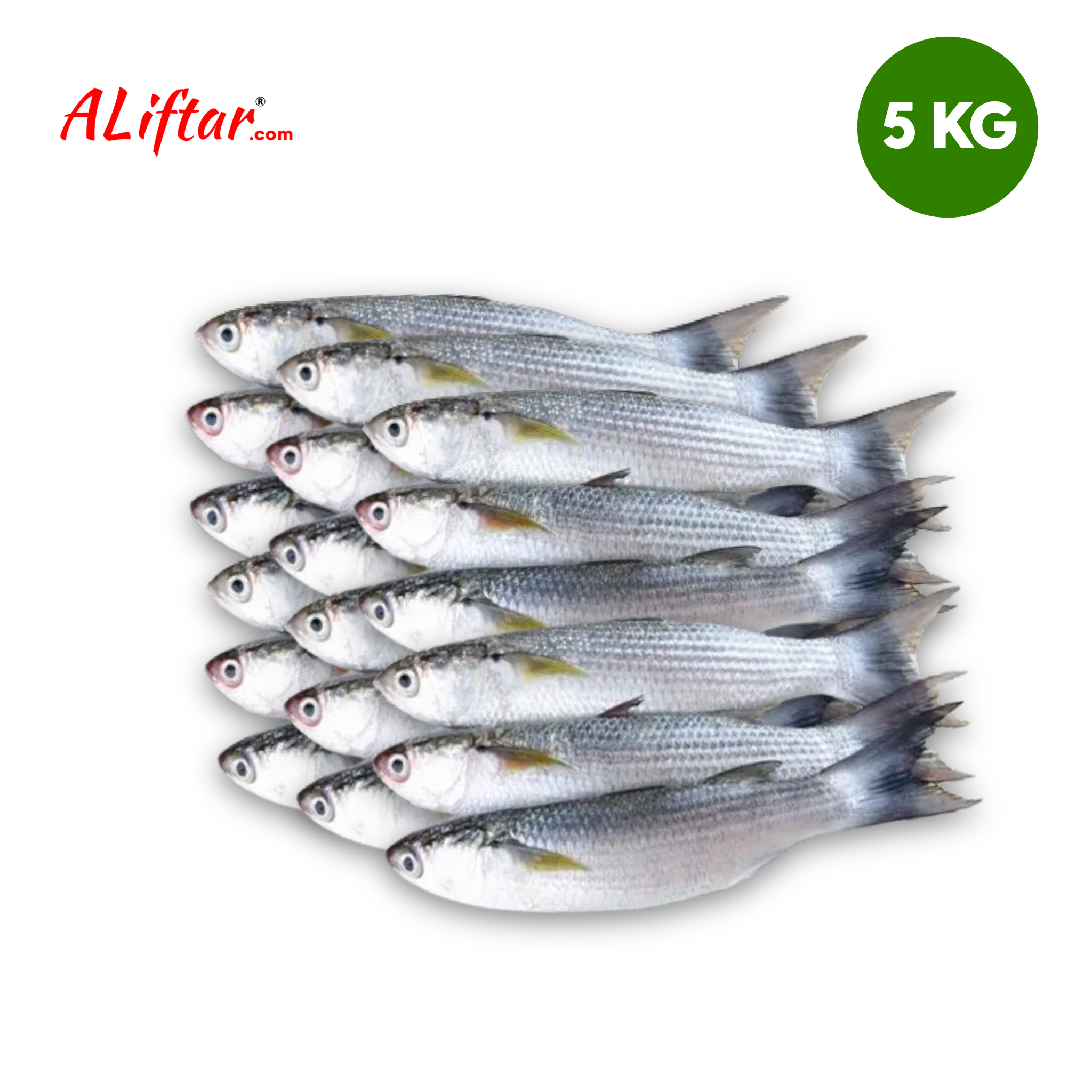 Fresh Biya Fish | WHOLE | 5kg – ALiFTAR.com
