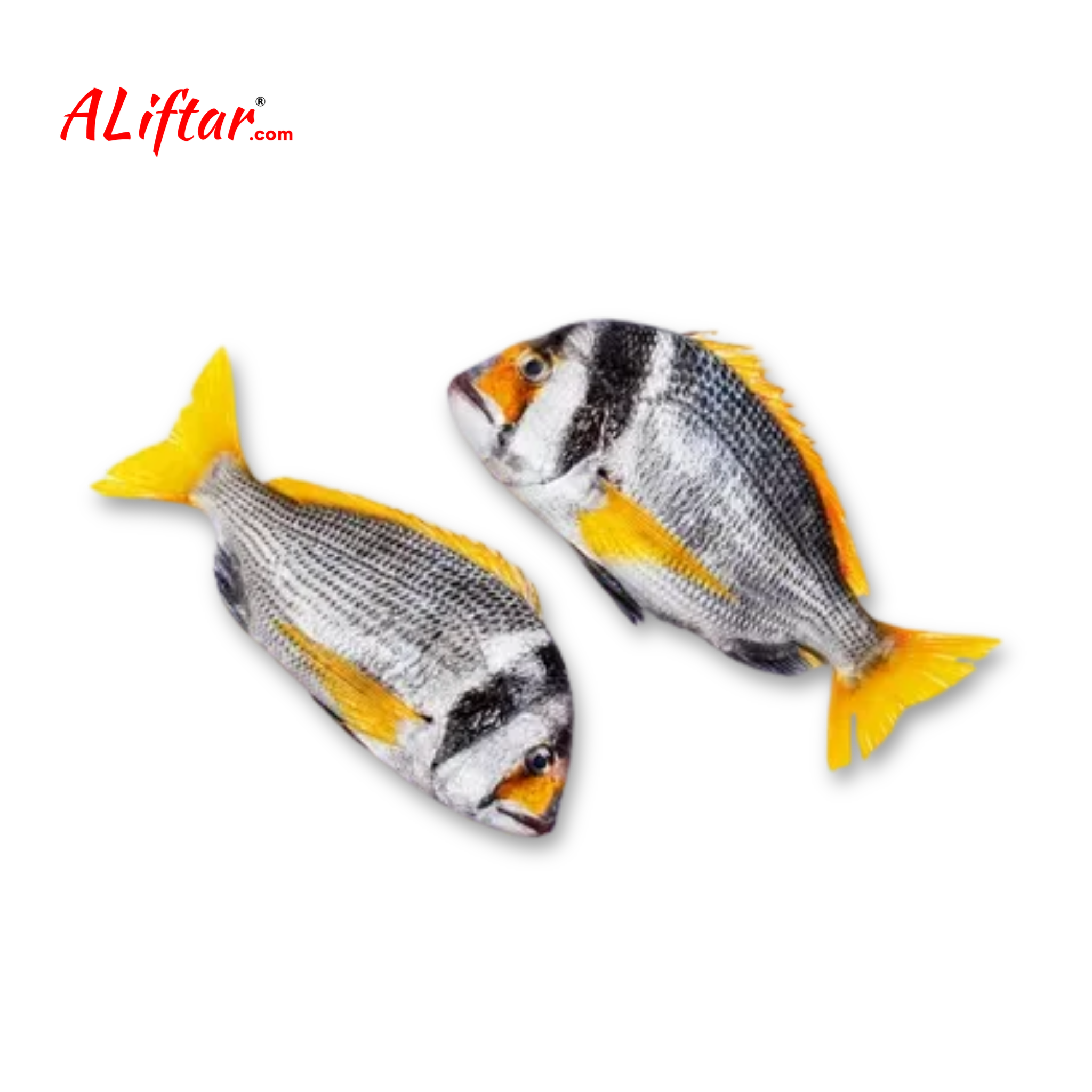 Fresh Faskar Fish | Whole | 1kg – ALiFTAR.com
