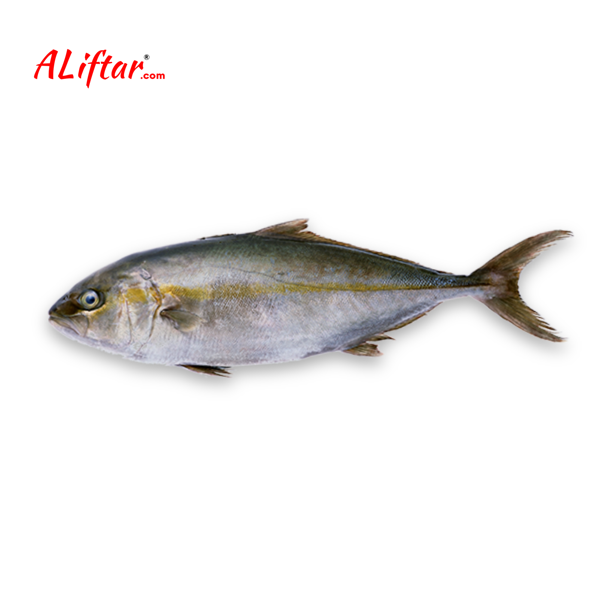 Fresh Halwayo Hamam Fish 1-2 Pcs | WHOLE | 1kg – ALiFTAR.com