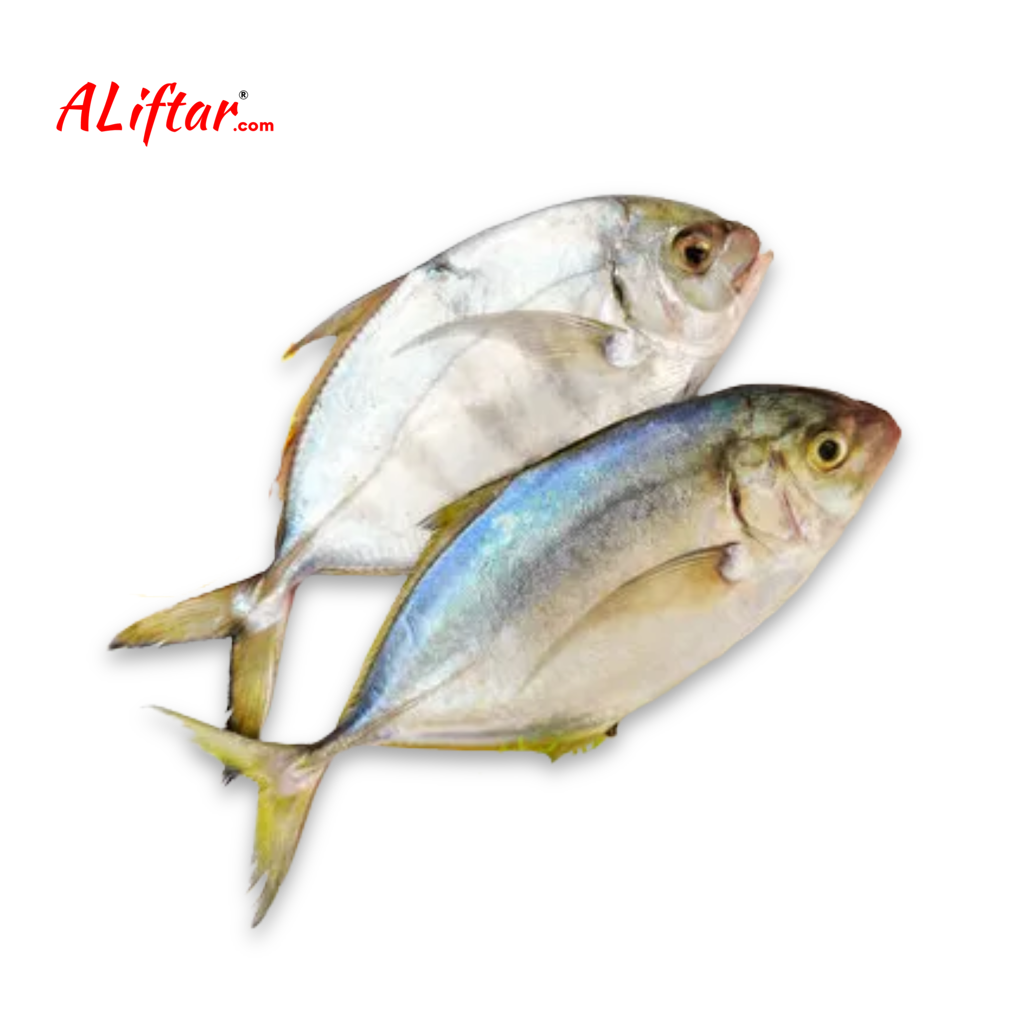 Fresh Jesh Para Fish | Whole | 1kg – ALiFTAR.com