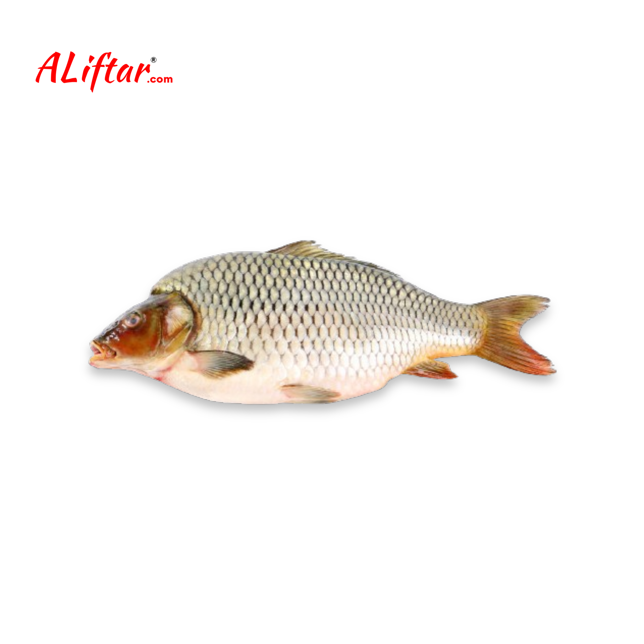 Fresh Katla Fish | Whole | 1kg – ALiFTAR.com