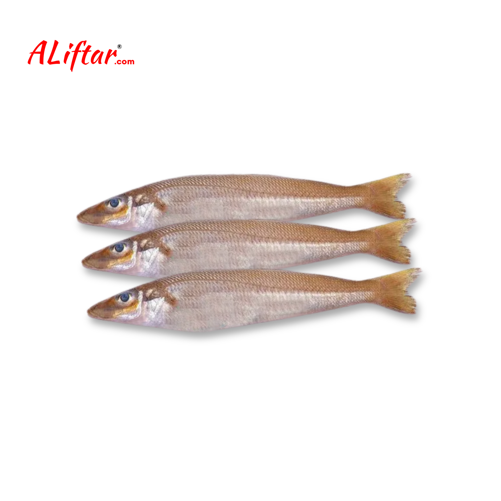 Fresh Lady Fish | Whole | 1kg – ALiFTAR.com