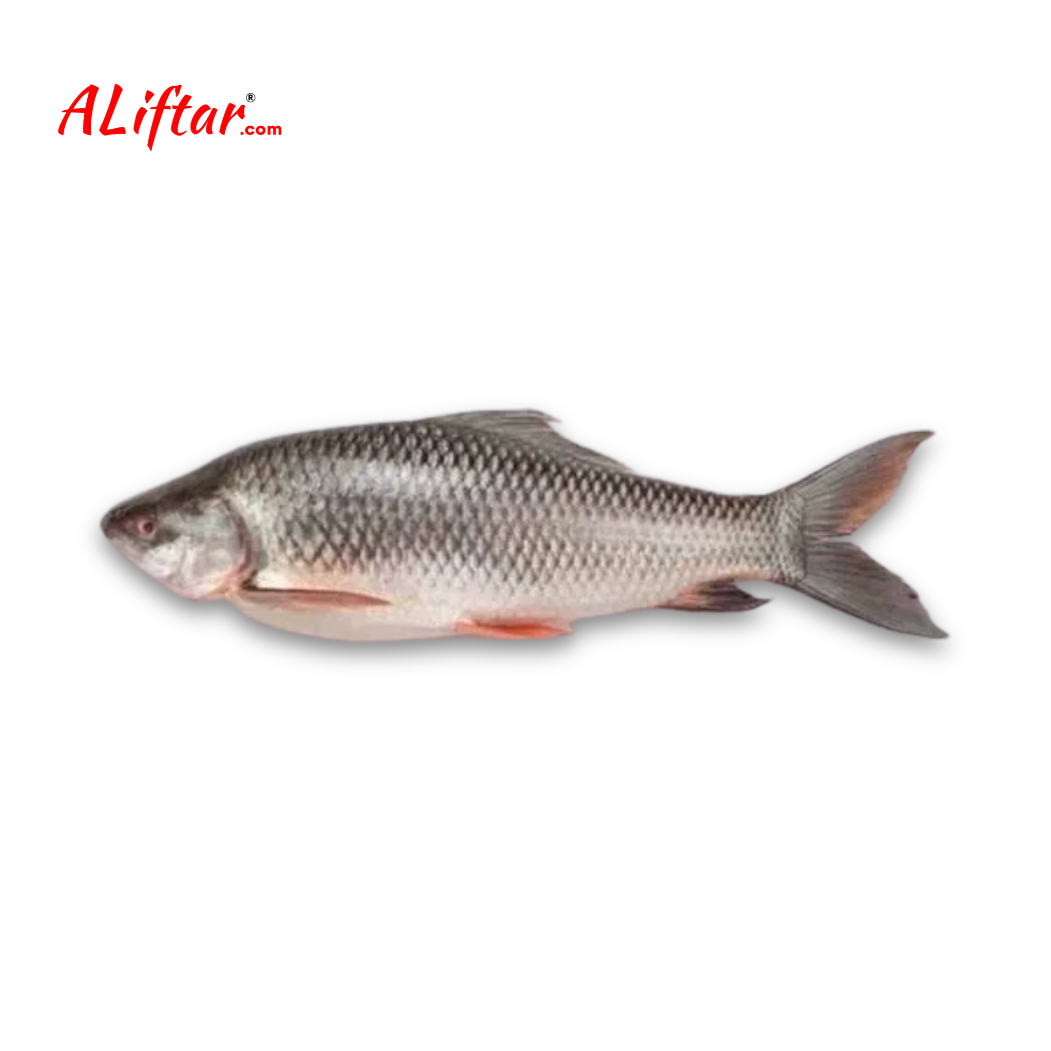 Fresh Rohu Fish | Whole | 1kg – ALiFTAR.com