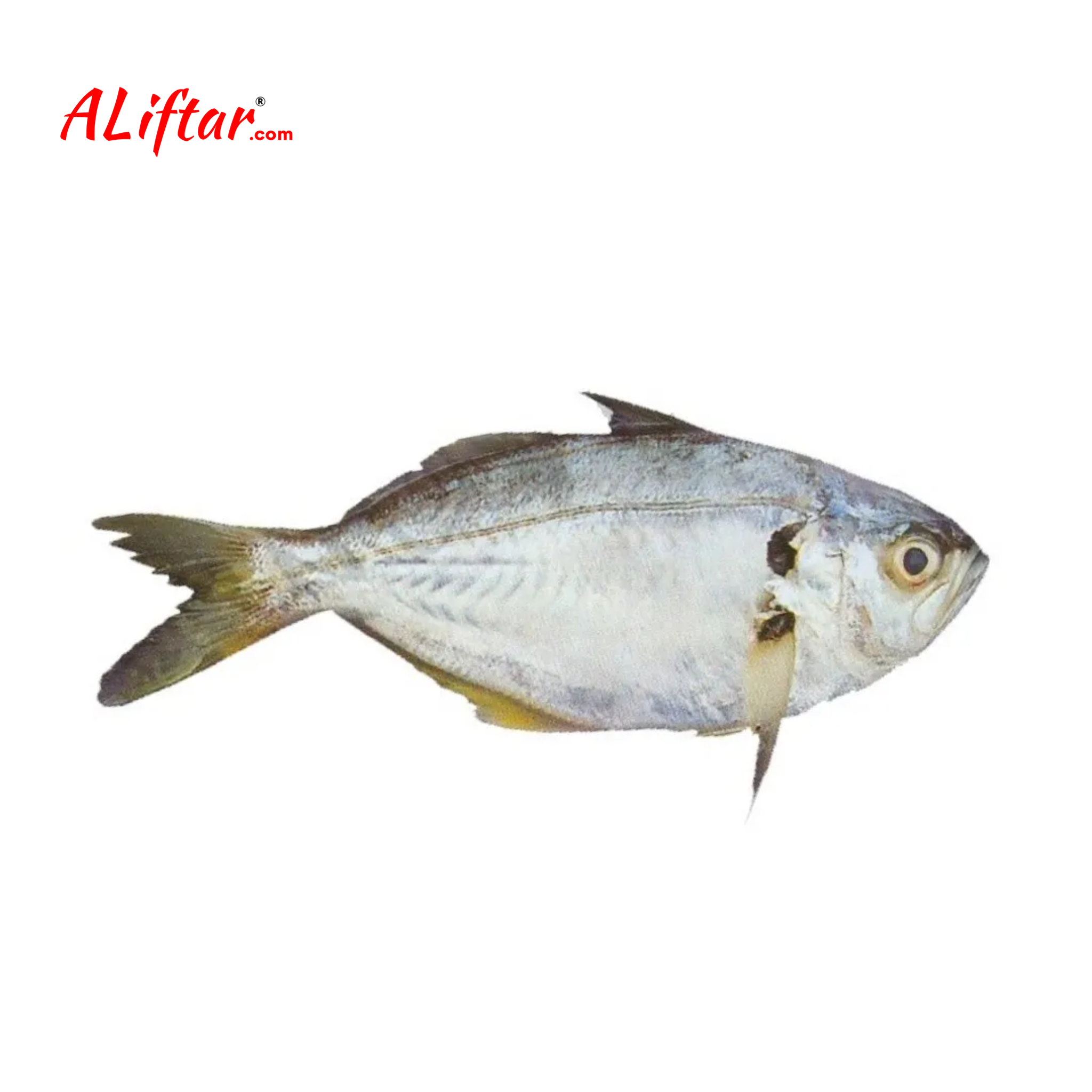 Fresh Parava Fish | Whole | 1kg – ALiFTAR.com