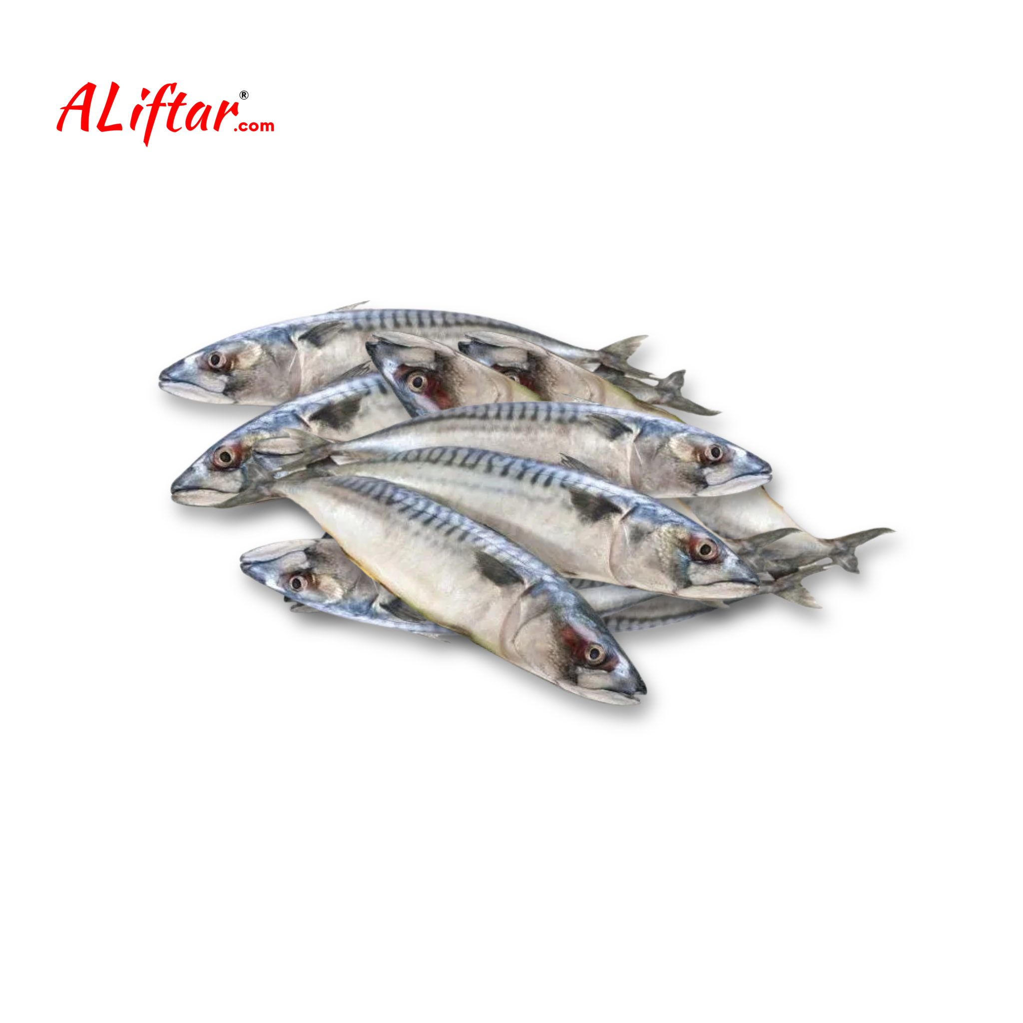 Fresh Sardine Fish | Whole | 1kg – ALiFTAR.com