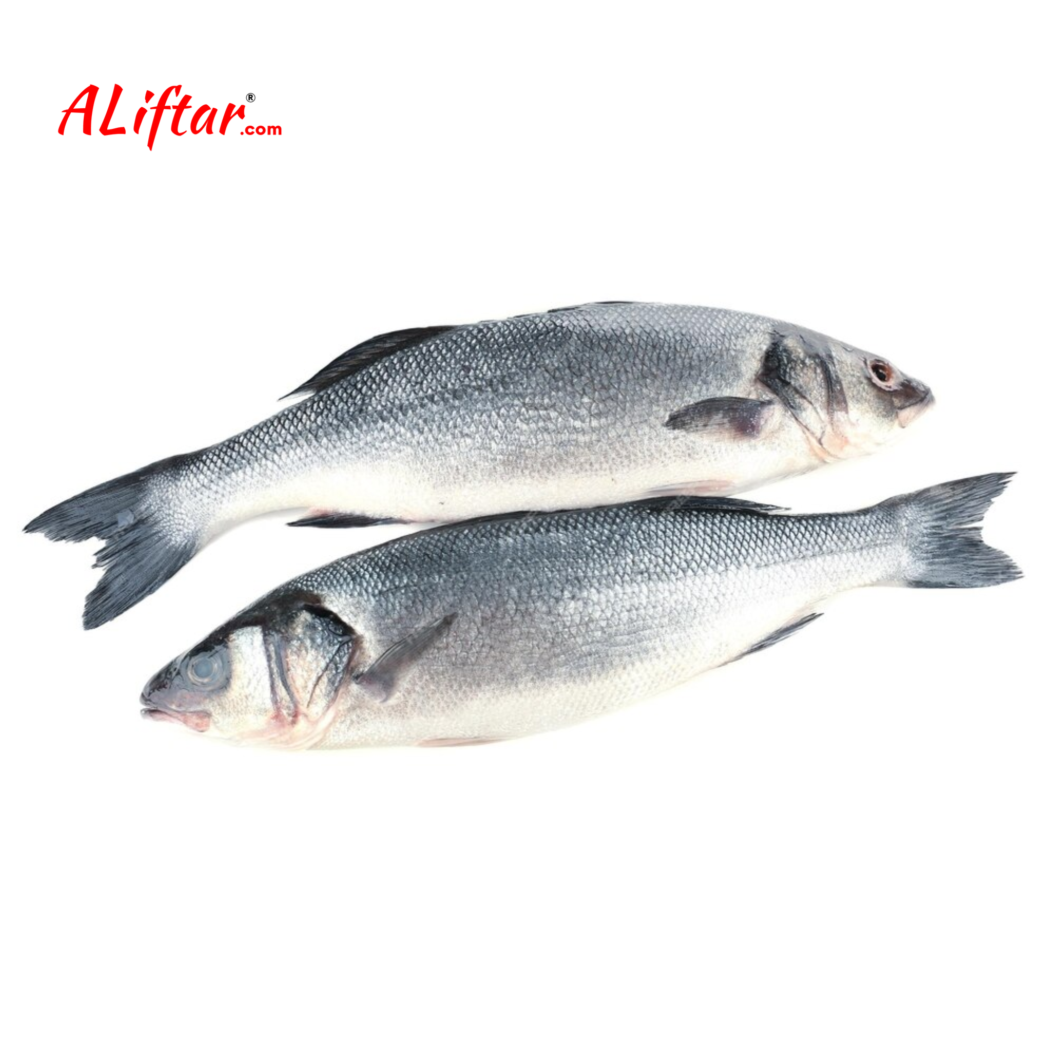 Fresh Sea Bass Fish | WHOLE | 1kg – ALiFTAR.com