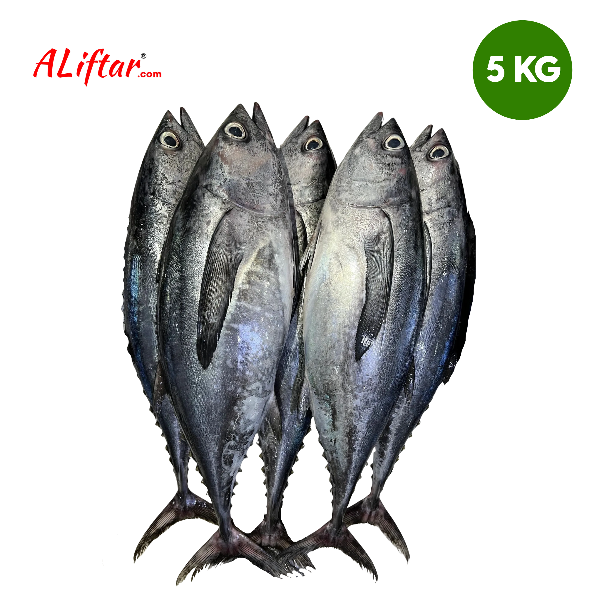 Fresh Tuna Fish | WHOLE | 4-5 Pcs | 5kg – ALiFTAR.com