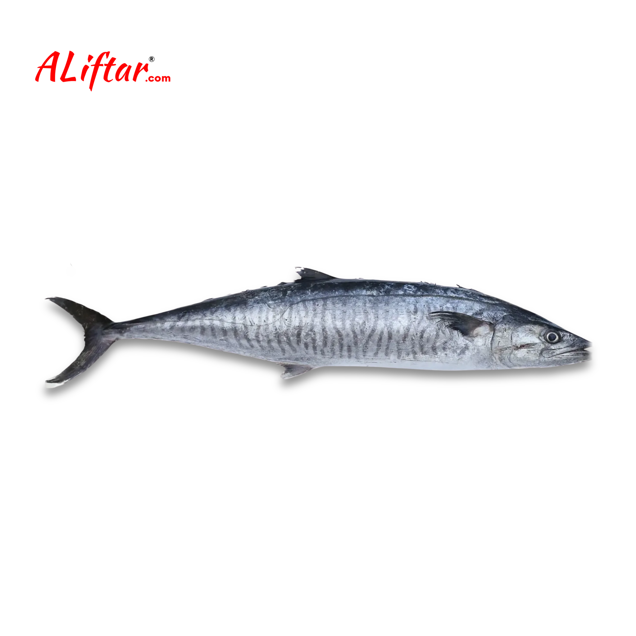 Fresh King (Surmai) Fish | Whole | 1kg – ALiFTAR.com